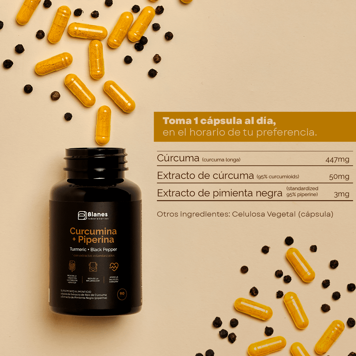 Curcumina + Piperina - Laboratorios Blanes